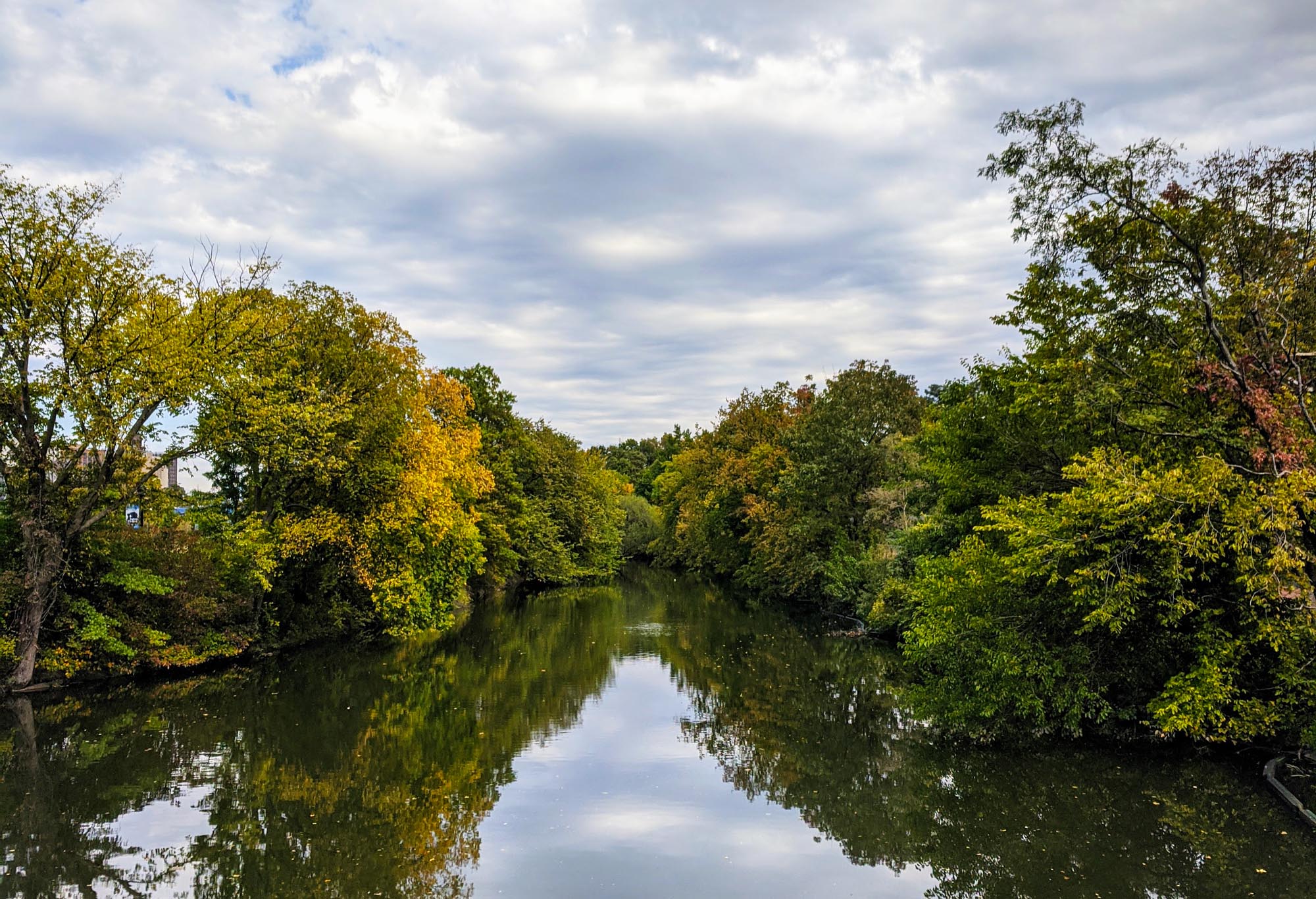 The Bronx River: A Story of Transformation and Renewal - bronx.name