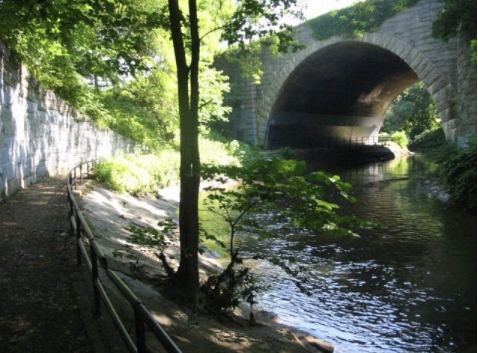 Bronx Park: A Walk Along the Bronx River - bronx.name